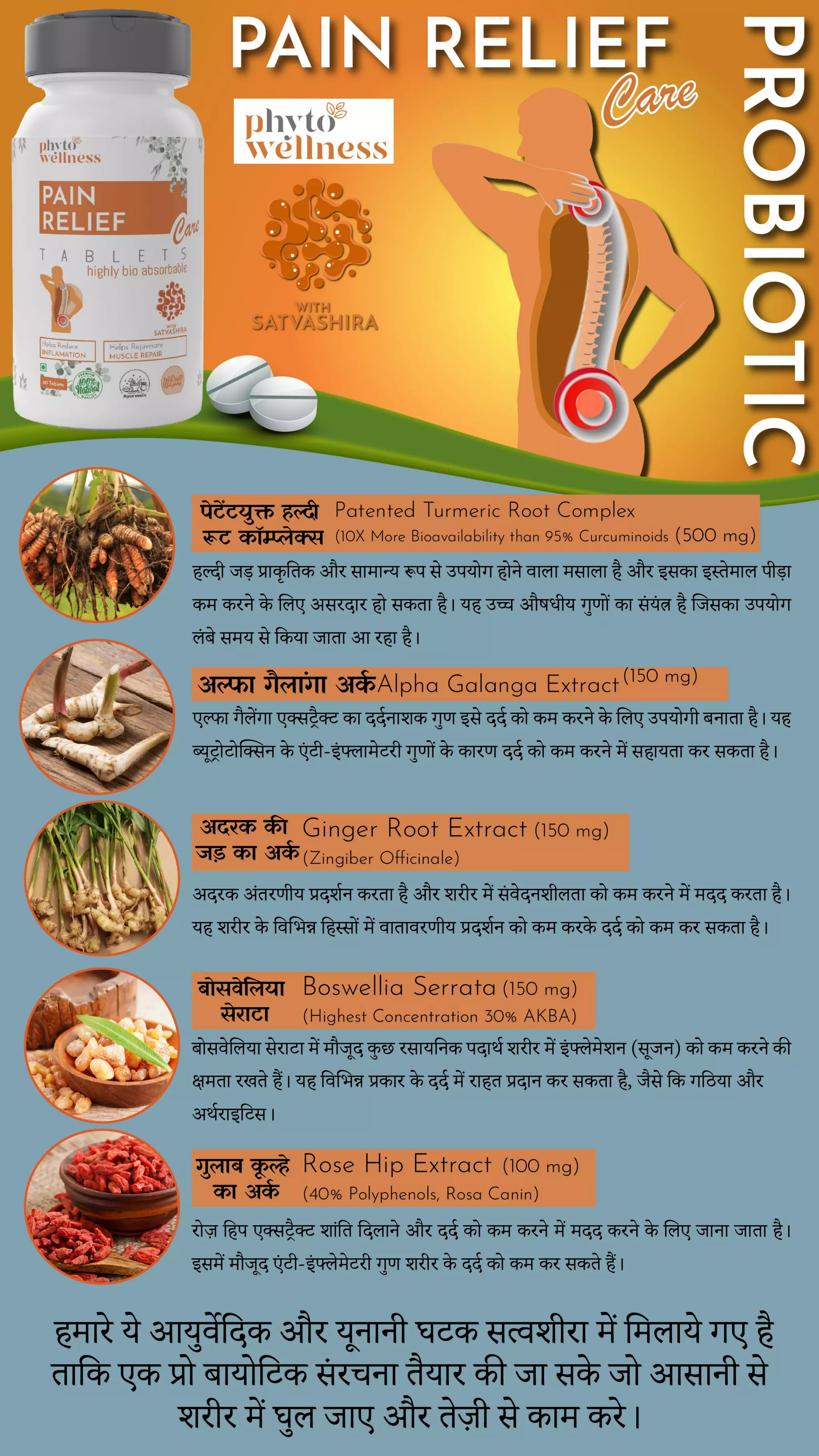 PROBIOTIC 36 | PHYTO ATOMY Probiotic Tab | PDF