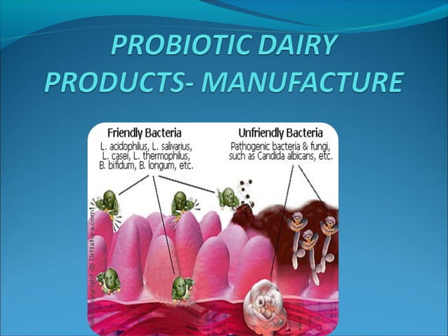 Probiotic dairy products manufacture | PPS | Digestive Disorders ...