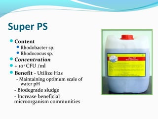 Probiotic for biofertilizer | PPT