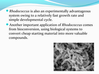 Probiotic for biofertilizer | PPT