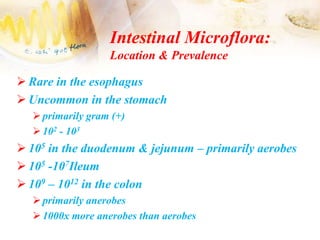 Probiotics | PPTX
