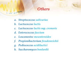 Streptococcus Salivarius 1000x