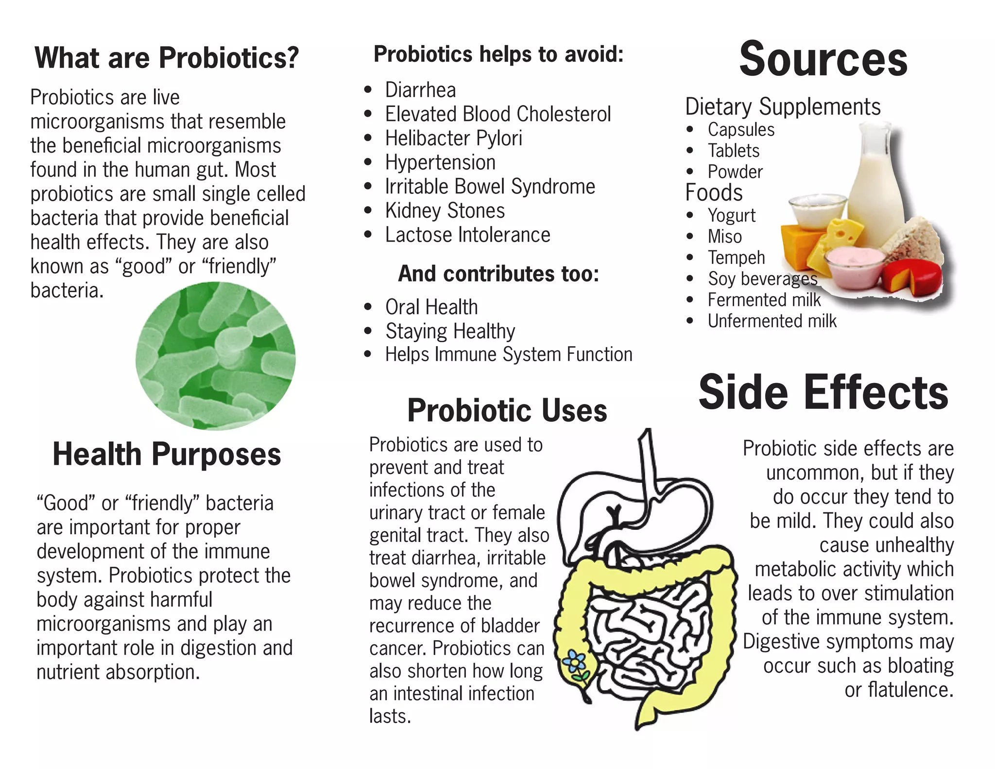 The Basics of Probiotics | PDF