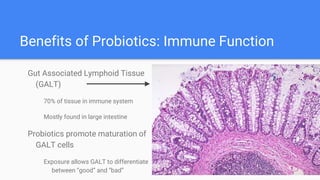 Probiotics | PPT