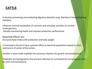 PROBIOTICS | PPT