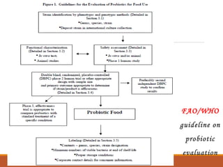 Probiotics | PPT | Digestive Disorders | Diseases and Conditions