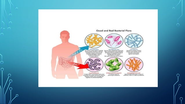 probiotics,food microbiology..slideshare | PPTX