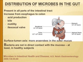 Probiotics in Adult Gastroenterology | PPTX