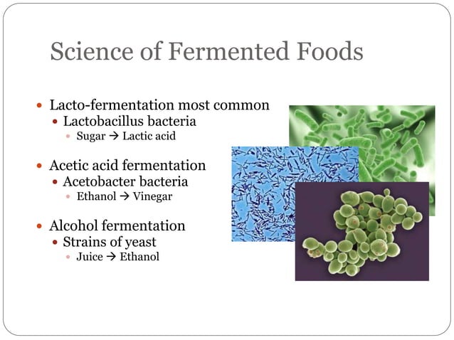 Probiotics and fermented foods | PPTX | Food & Drink