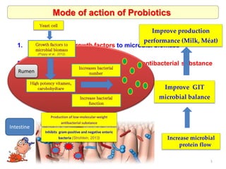 Probiotics action | PPTX