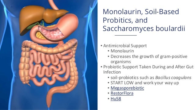 Probiotics And C Diff What Probiotics Should Be Taken With Or After