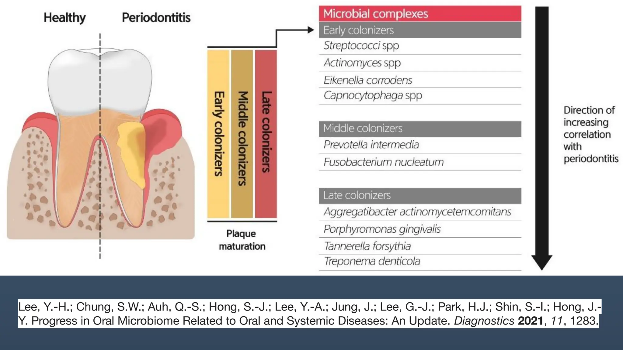 Prebiotics&Probiotics In Periodontal health & disease | PPTX