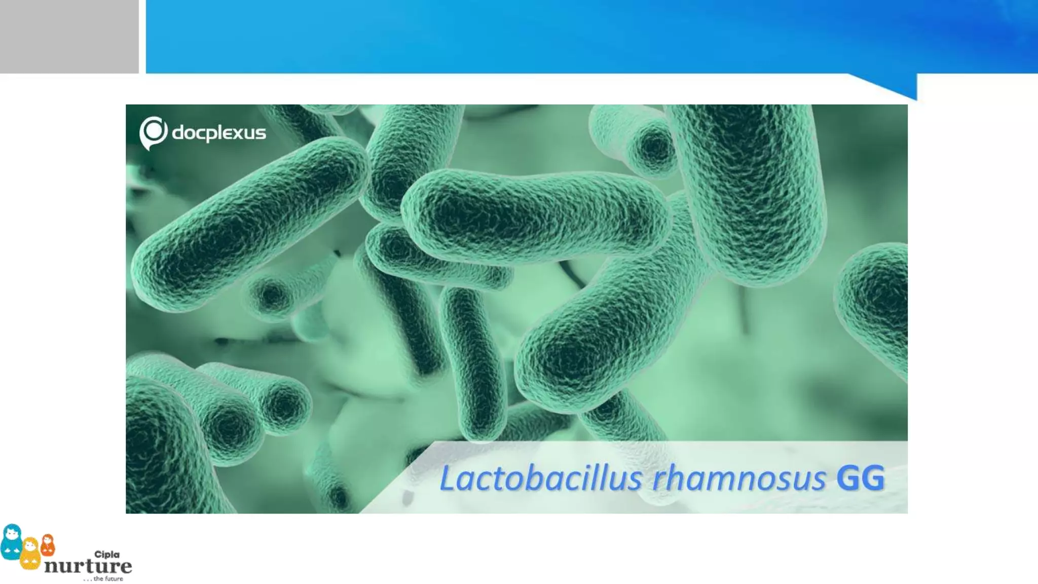 Probiotics in diarrhea in India - Special Ref to LrGG Lactobacillus ...
