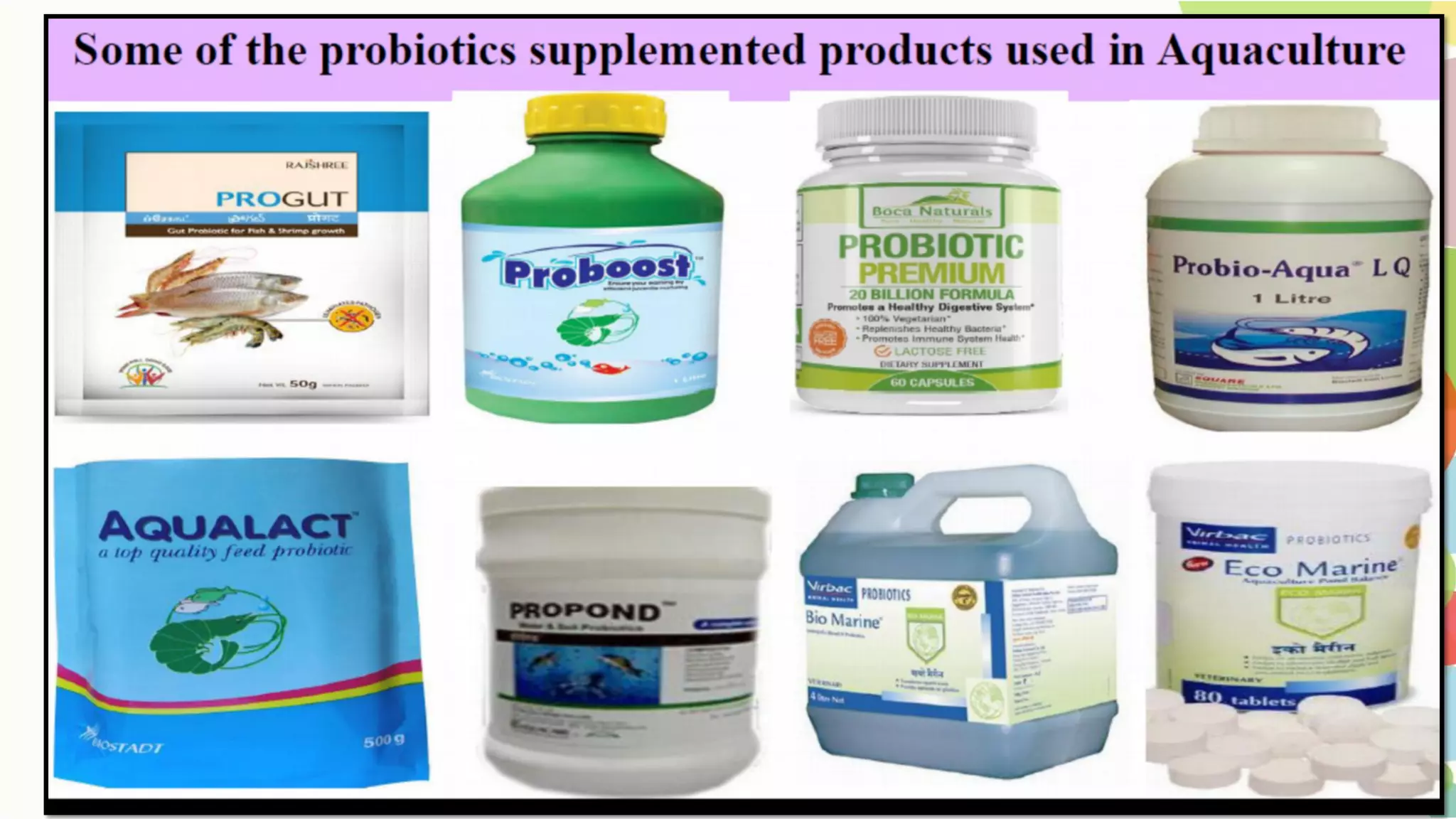 Probiotics used in aquaculture | PDF