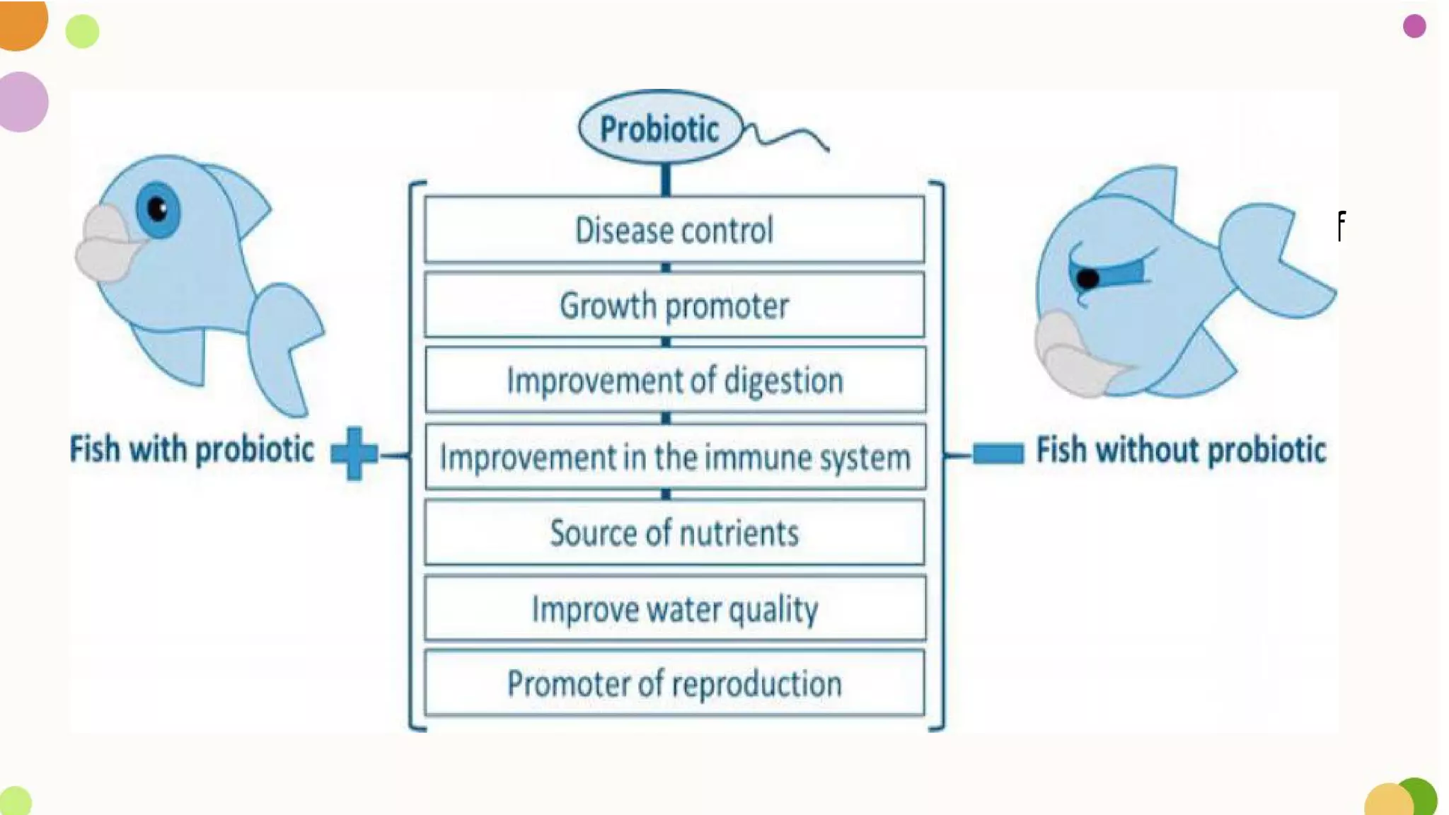 Probiotics used in aquaculture | PDF