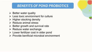 Probiotics used in aquaculture | PDF