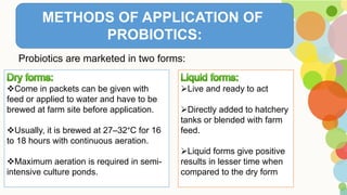Probiotics used in aquaculture | PDF