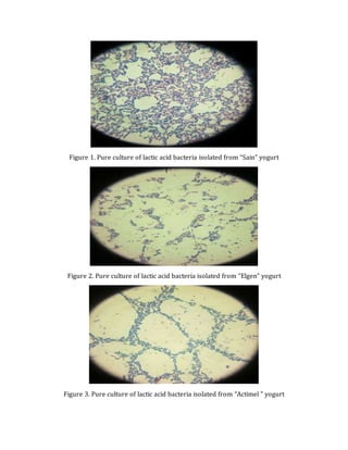 Probiotic yogurt | DOCX