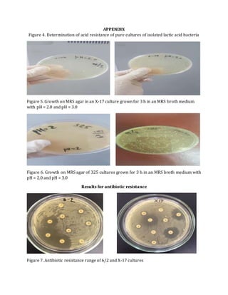 Probiotic yogurt | PDF