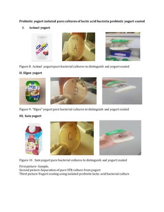 Probiotic yogurt | DOCX