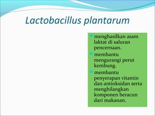 Probiotik | PPT