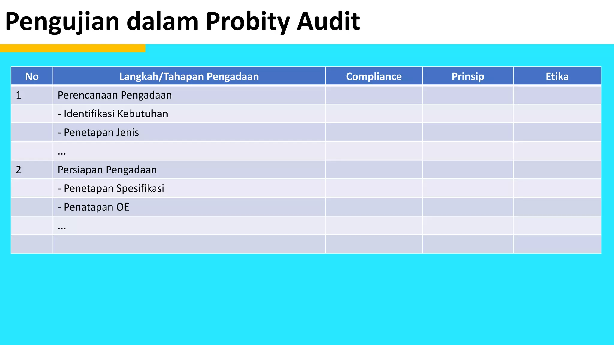 Probity Audit Hans-2.pptx