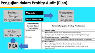 Probity Audit Hans-2.pptx
