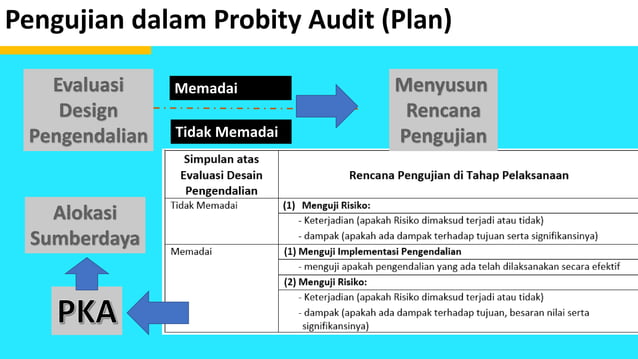 Probity Audit Hans-2.pptx
