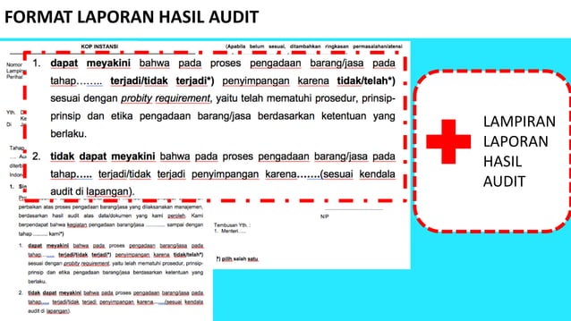 Probity Audit Hans-2.pptx