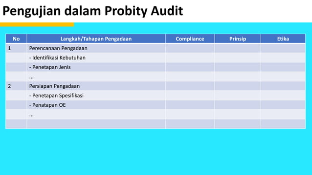 Probity Audit Hans-2.pptx