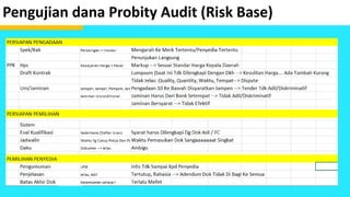 Probity Audit Hans-2.pptx