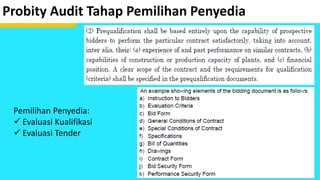 Probity Audit Hans-2.pptx