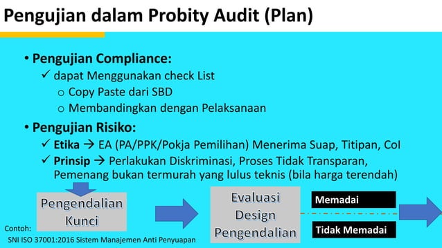 Probity Audit Hans-2.pptx