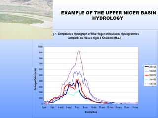 Problem of Water Quality Control in the Niger Basin | PPT