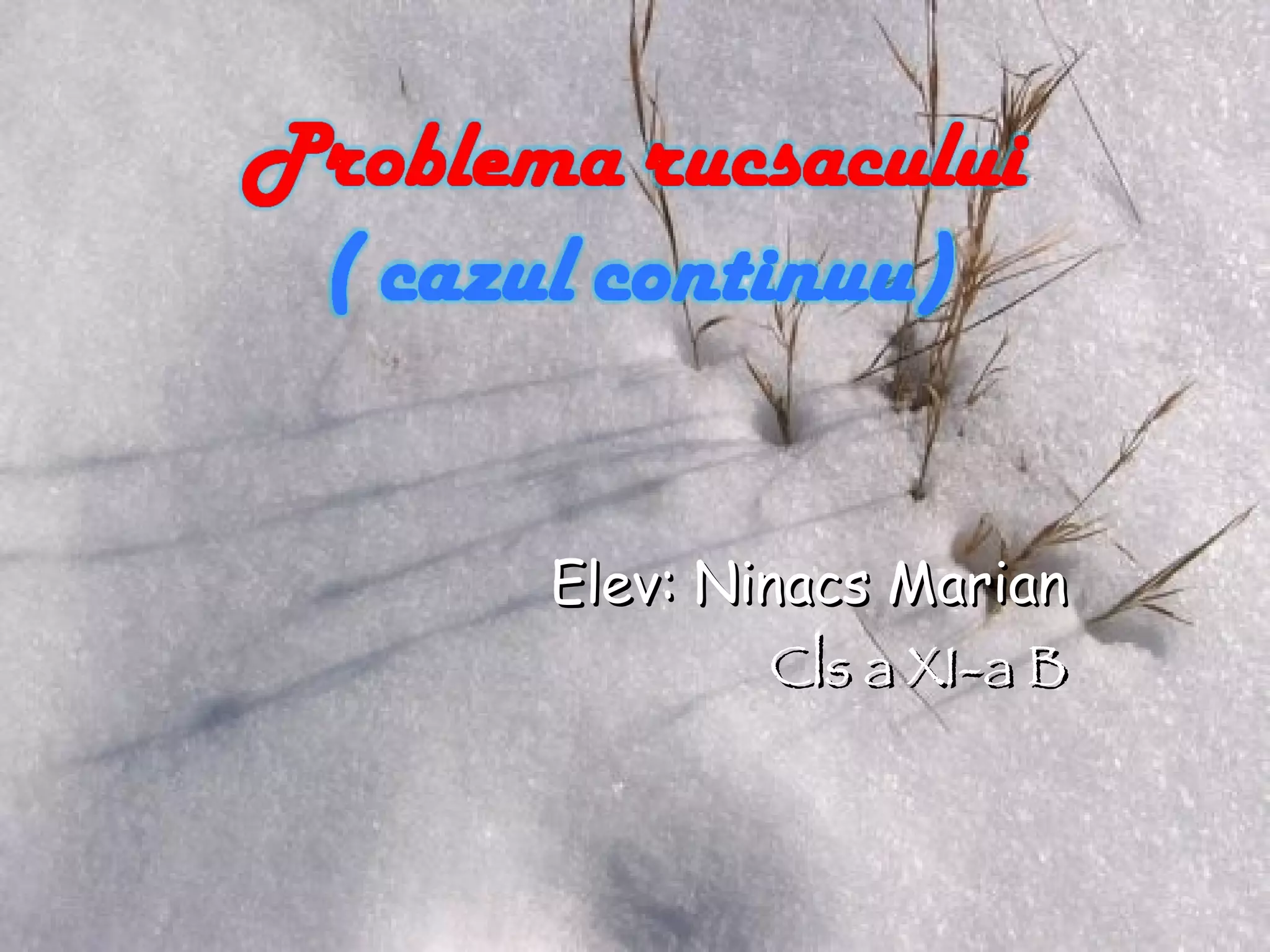 Problema Rucsacului | PPT