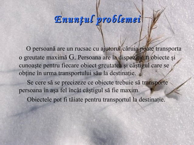 Problema Rucsacului | PPT