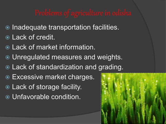 Problem and challenges in agriculture