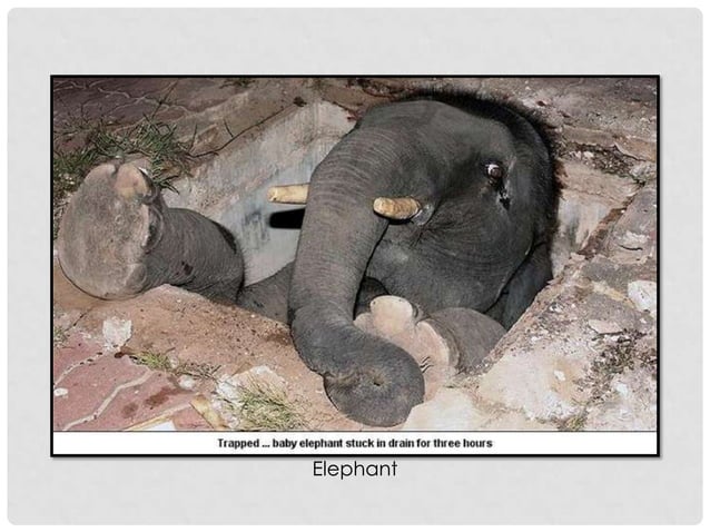 Problem and resolution | PPT