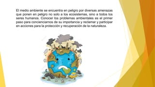 Problemas ambientales pauli present | PPTX
