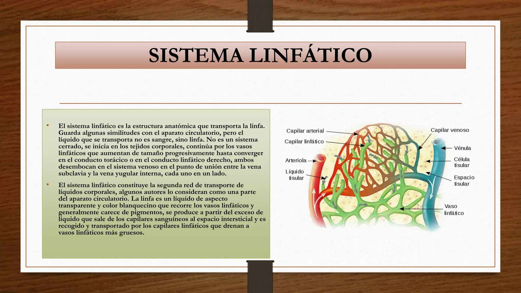 Problemas del sistema linfático.pptx