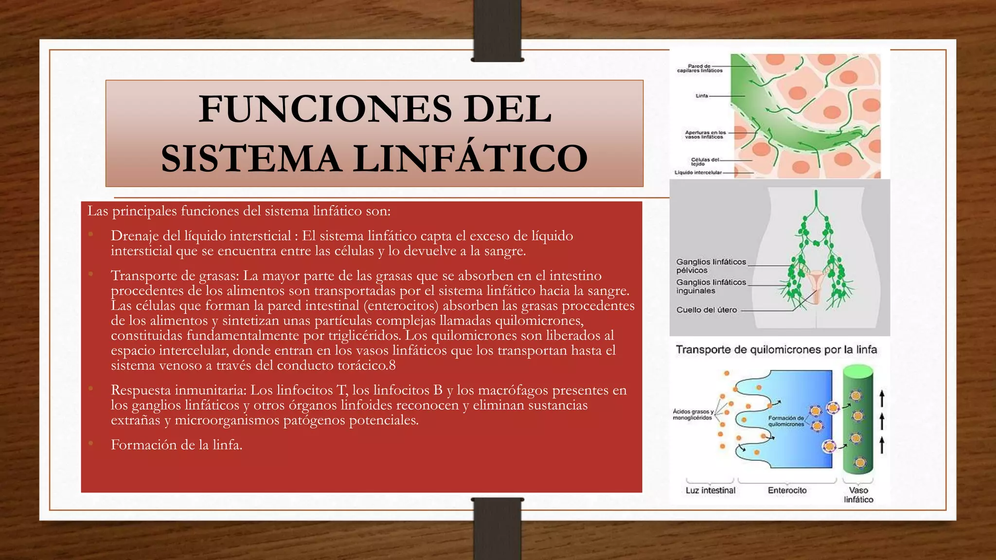 Problemas del sistema linfático.pptx