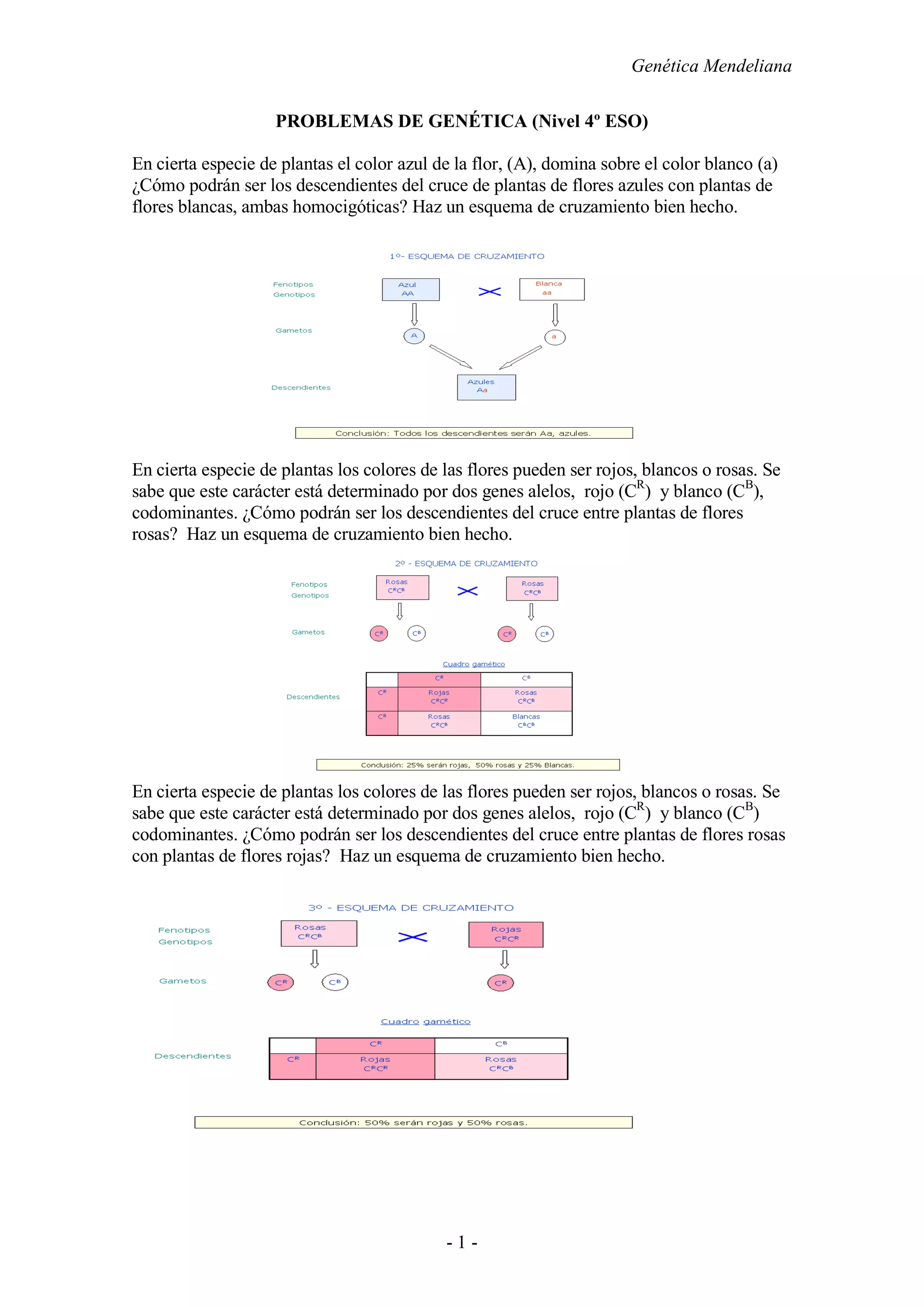 Problemas genética mendeliana resueltos | PDF