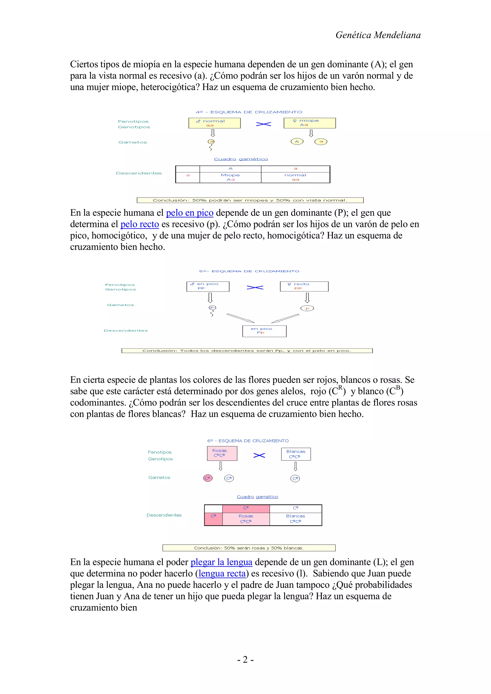 Problemas genética mendeliana resueltos | PDF