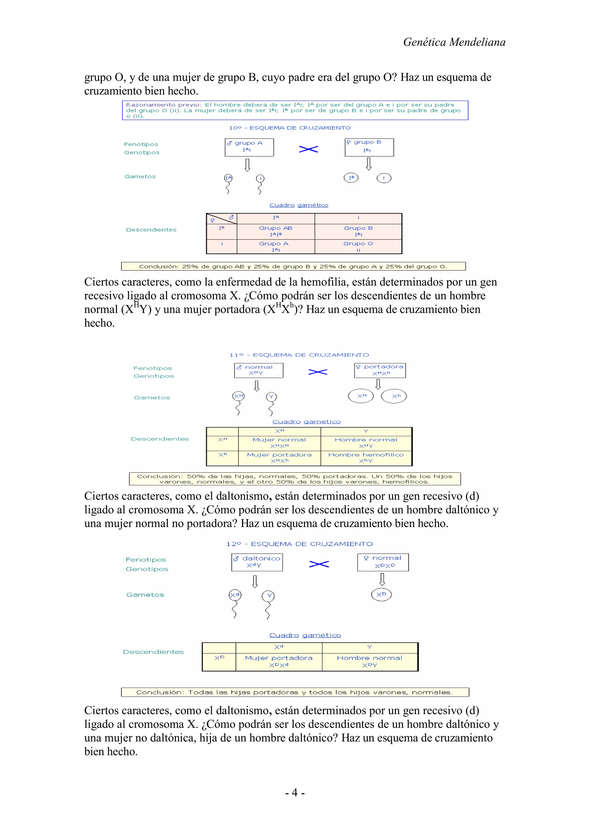 Problemas genética mendeliana resueltos | PDF