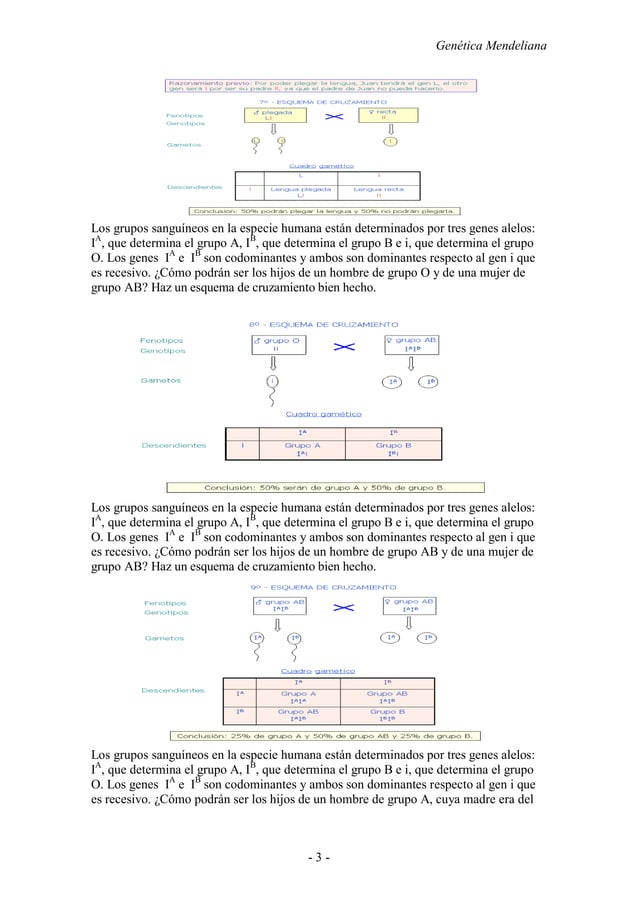 Problemas genética mendeliana resueltos | PDF