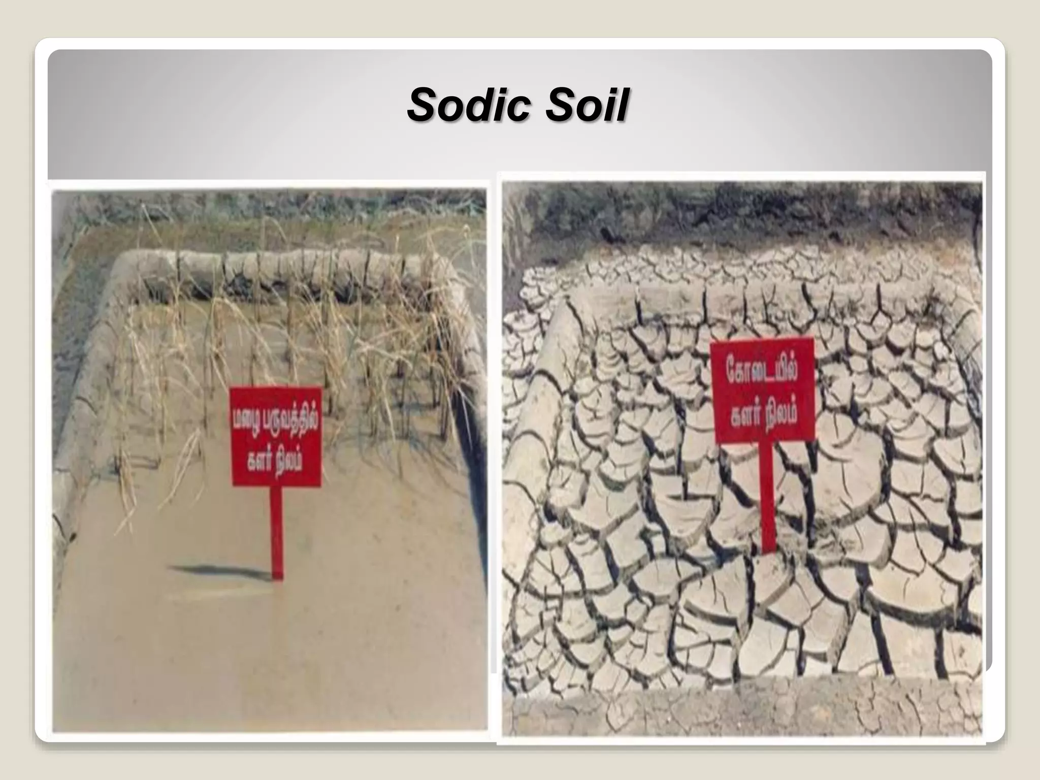 Problematic soil | PPT