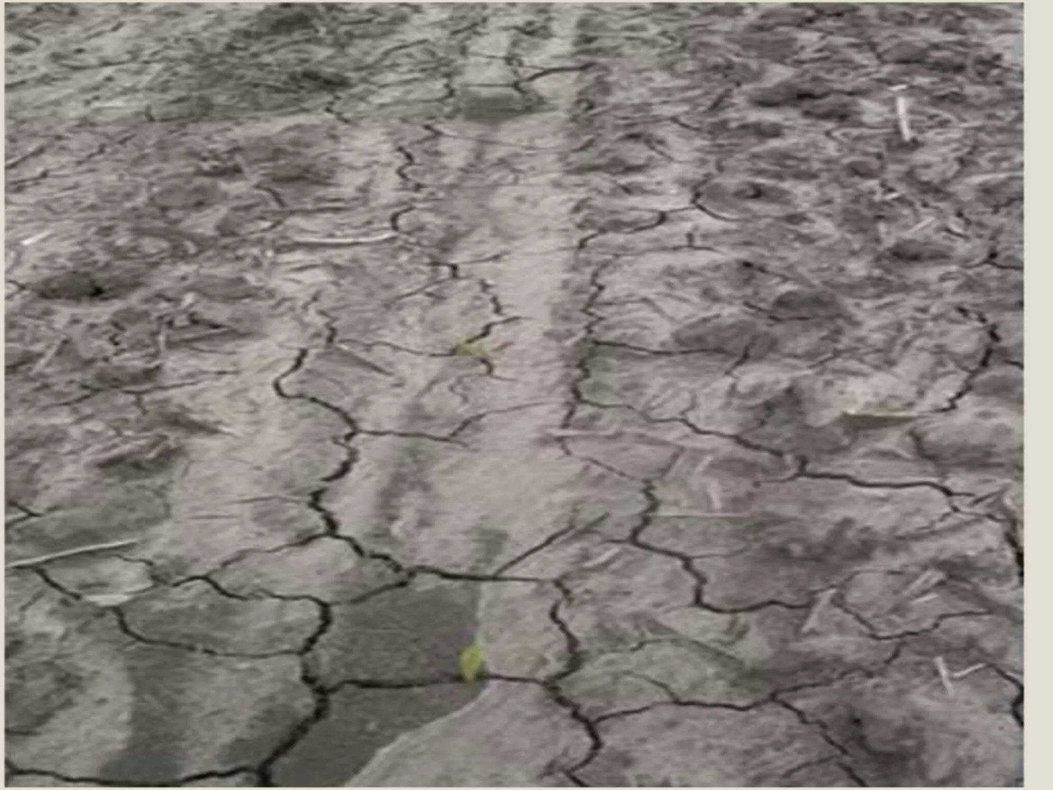 Problematic soil | PPT