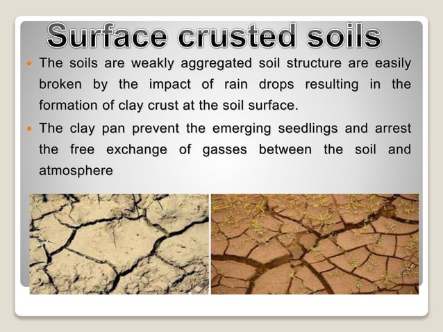 Problematic soil | PPT