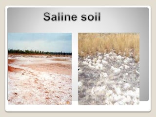Problematic soil | PPT