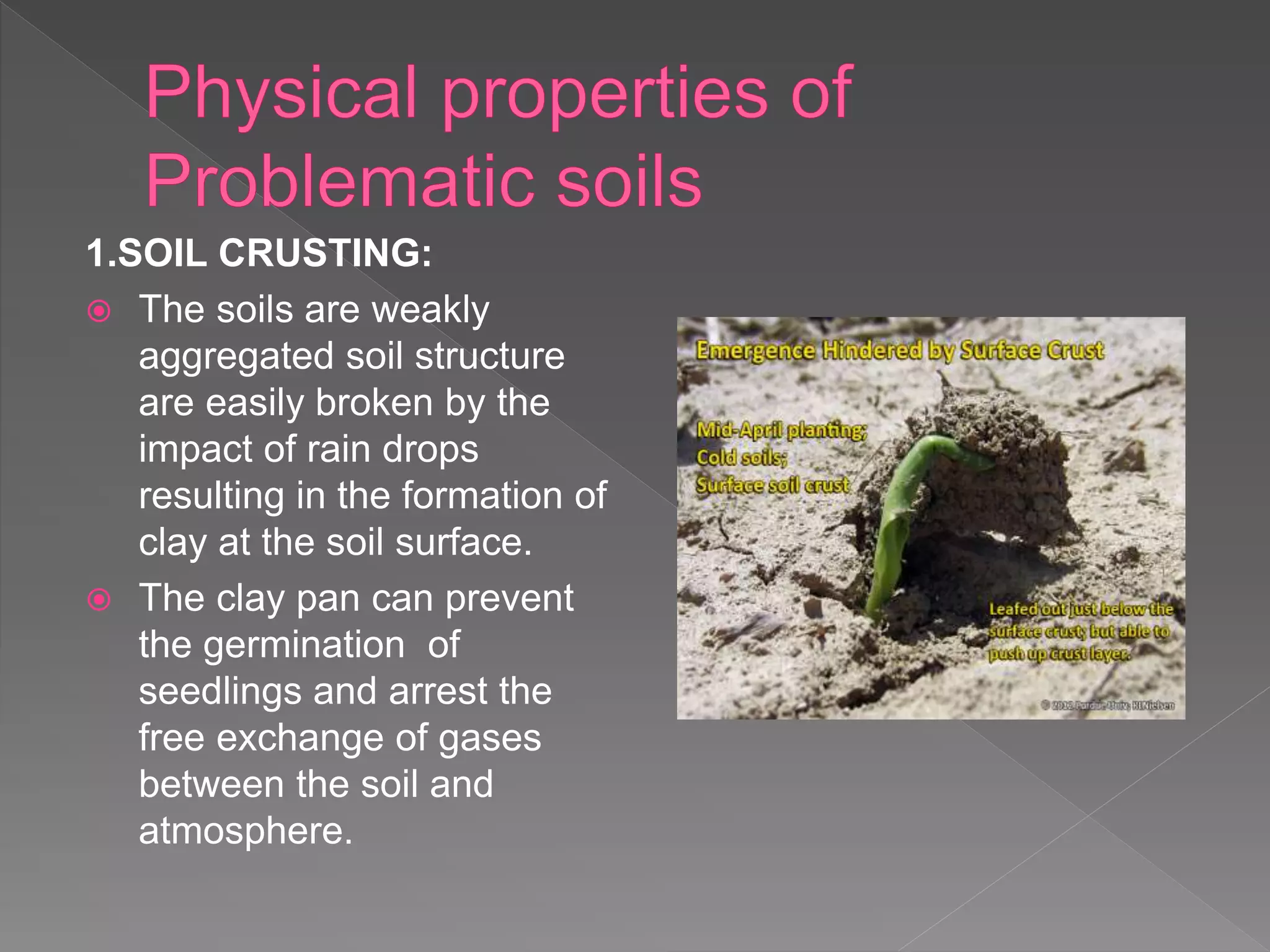 Problematic soil | PPTX